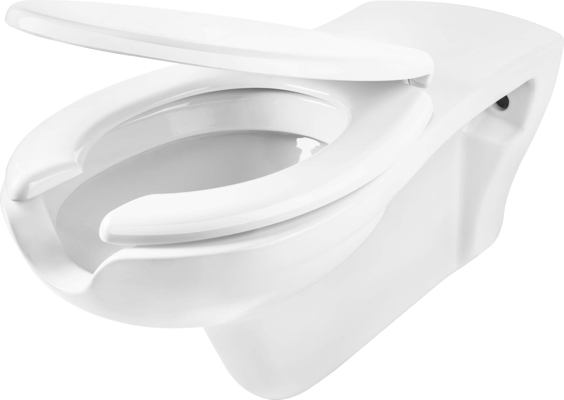Cheap toilet bowl store