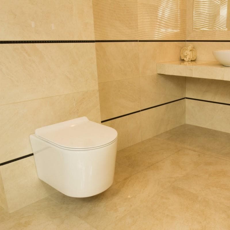 Paragon Short Projection Rimless Wall Hung Toilet